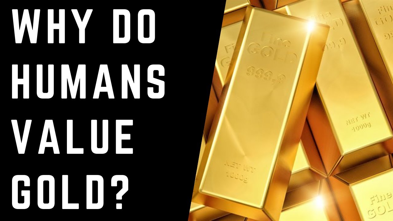 Why do humans value gold? | Why are we attracted to gold? - YouTube