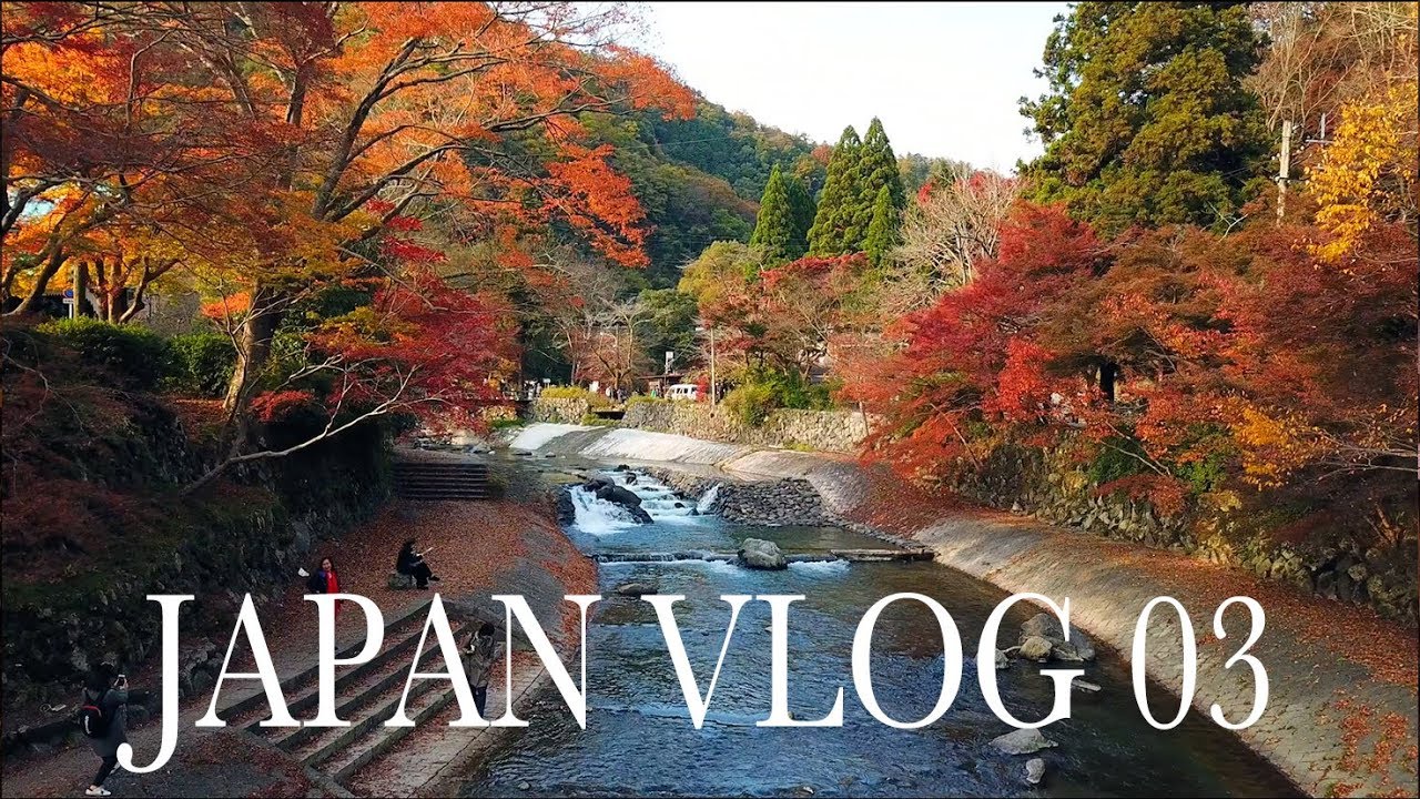 Japan Vlog Ep 3 - Flying drone in amazing Autumn foliage - YouTube