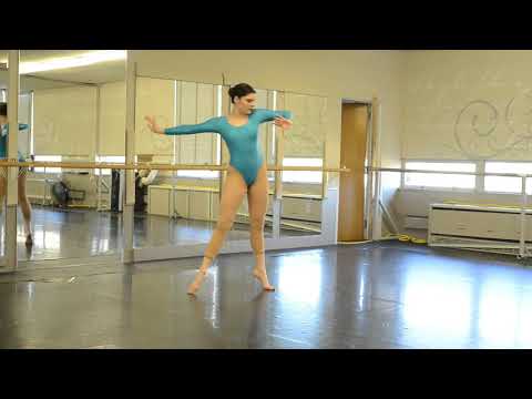 HD2150T HDW DANCE River Blue Polyester Spandex Holographic Long Sleeve Leotard