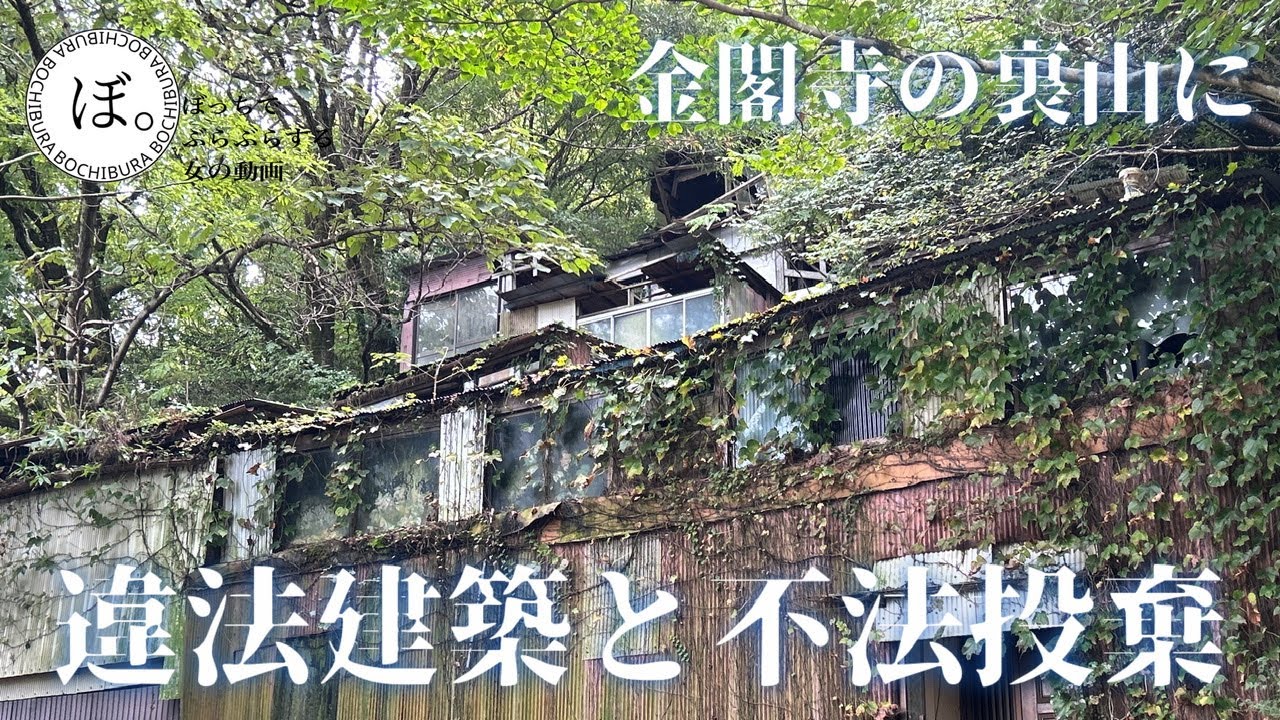 怯える住人。金閣寺の裏山に今にも崩れ落ちそうなガラクタの山 #廃屋 #違法建築 #不法投棄 #ぼっち女 - YouTube