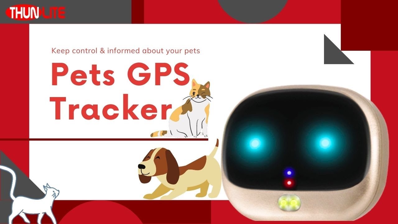 Pets Tracker GPS and Fitness Control - YouTube