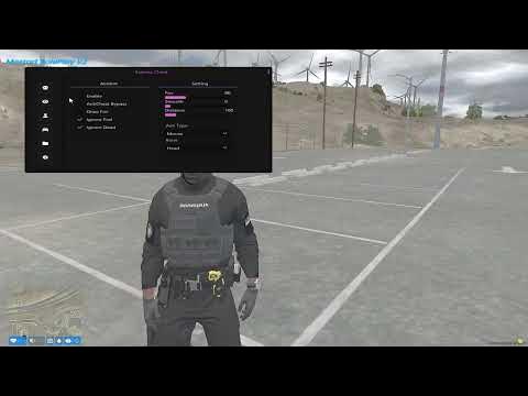FiveM External Cheat | Undetected | Showcase - YouTube