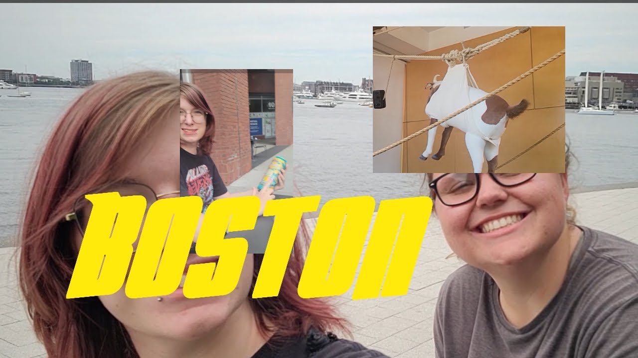 I stole the declaration of independence with Quinn - YouTube