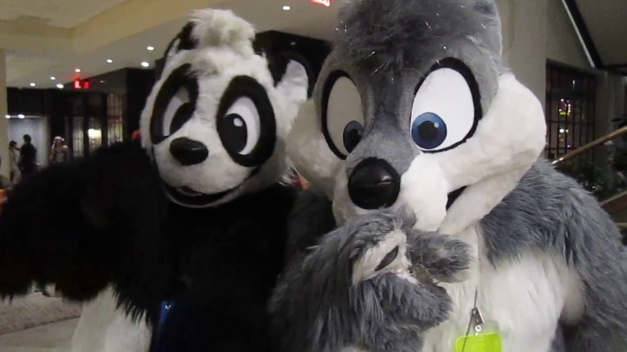 Anthrocon 2017 - Furries Say Hello to Brazil Furries - YouTube