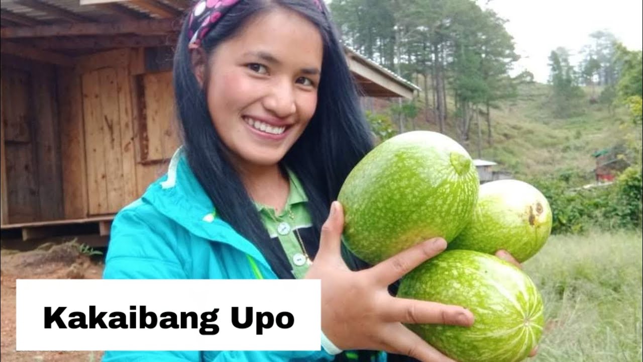 Bilog na Upo or Bottle Gourd | Taggumbaw/Tabungaw - YouTube