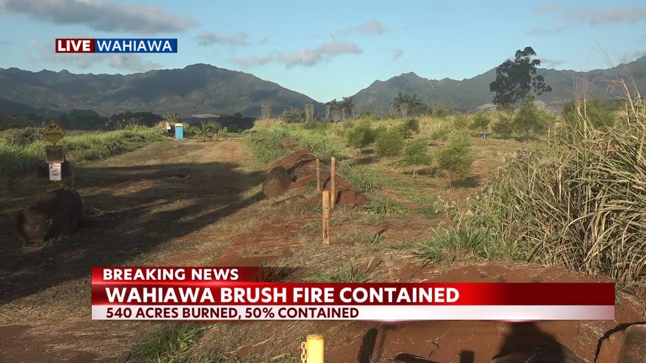 Wahiawa brush fire is now 50% contained as of Thursday morning - YouTube