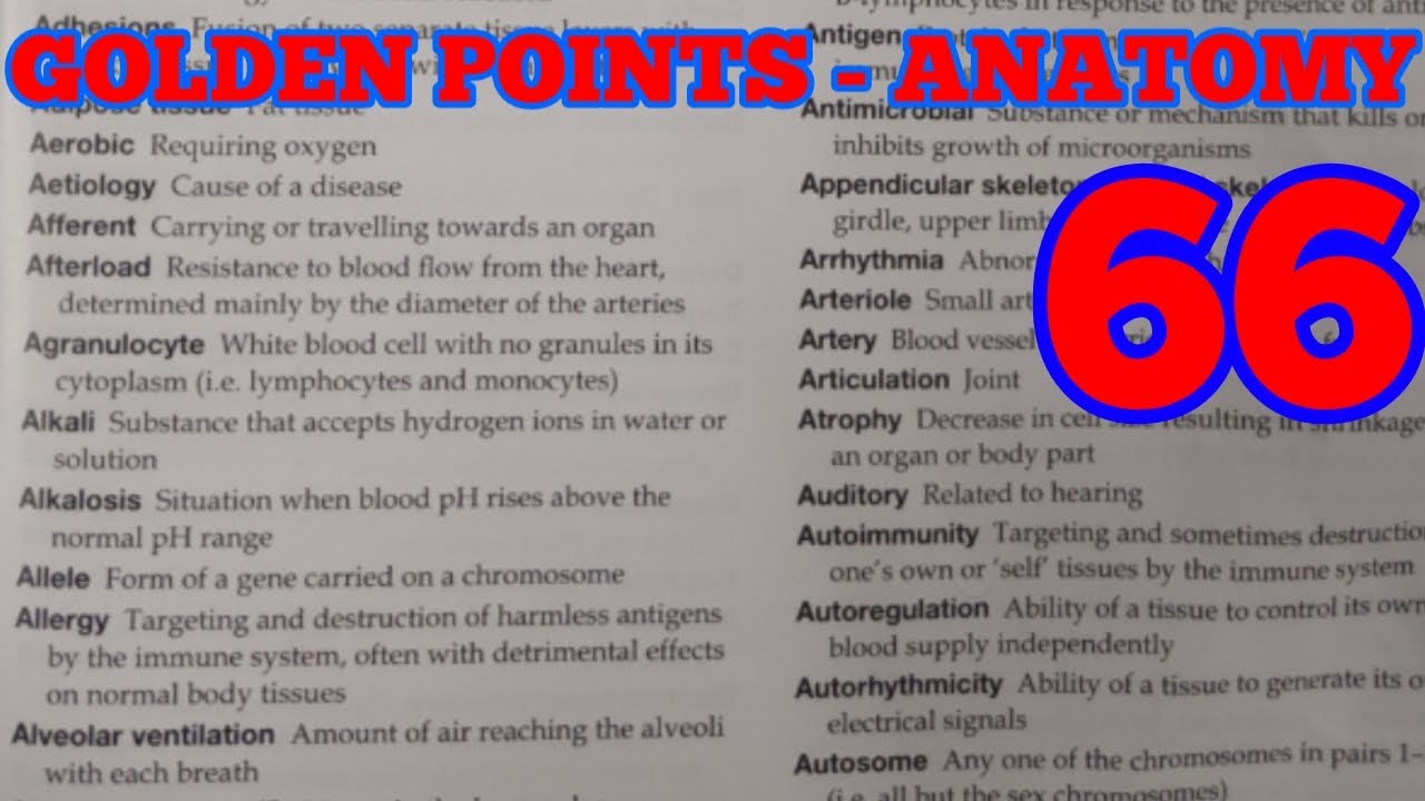 GOLDEN POINTS PART 66 //ANATOMY& PHYSIOLOGY//TERMINOLOGIES//NURSING AND ...