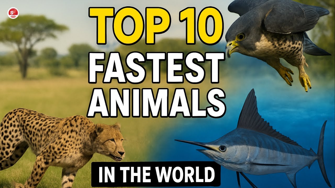 Top 10 Fastest Animals in the World – Explained with Speed & Science ...