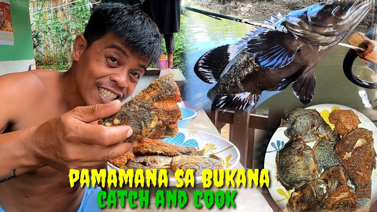 EPISODE 79 | Buhay Probinsya Pamamana sa Bukana | Spearfishing Philippines | Catch and Cook ...