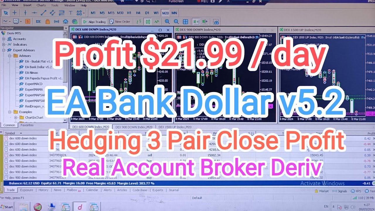 Profit 21 Per Day Hedging 3 Pair Dex Ea Bank Dollar Real Account