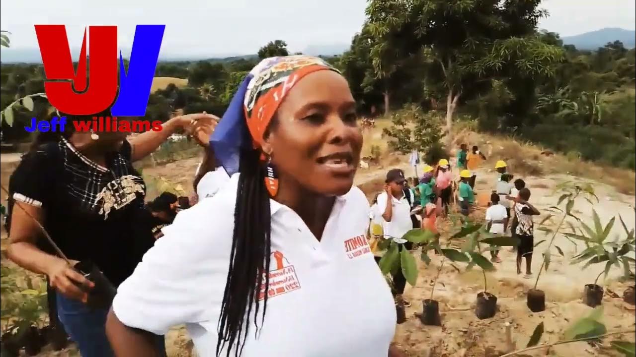 Gwo koze nan wanament jodia Kote te gen gwo konbit plante pye bwa di kote de wèch... - YouTube