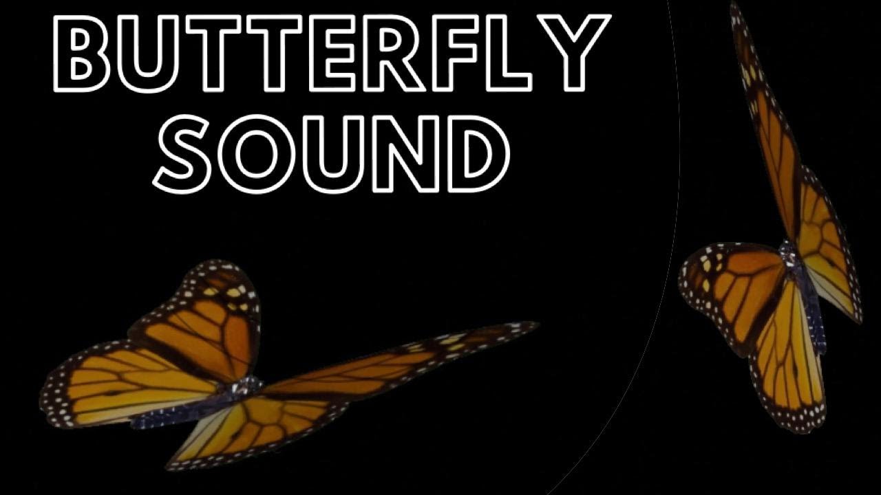 Butterfly Sounds 1 Hour - YouTube