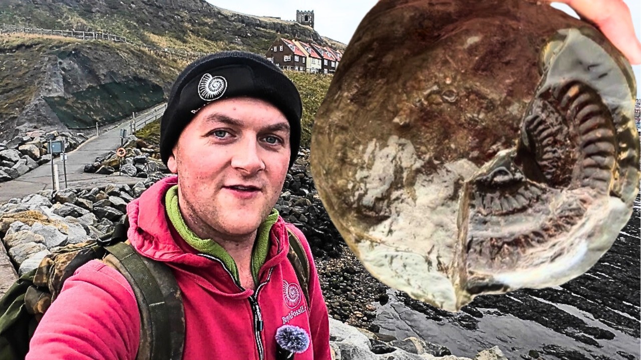 Saltwick Bay To Whitby - Amazing Fossil Hunting Finds - YouTube