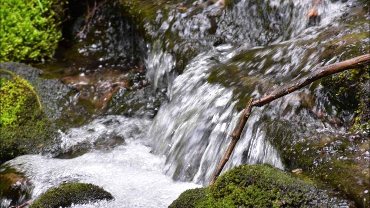 PJ Lake - Olympic National Park - July 29, 2018 - YouTube