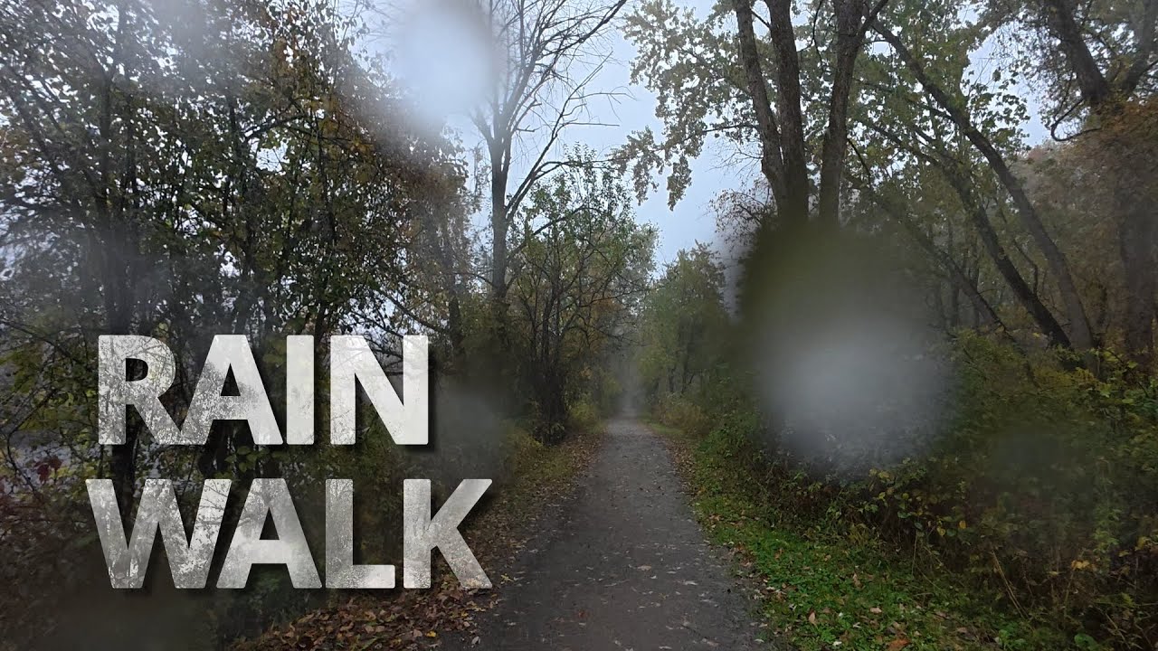 Relaxing Rain Walk in Nature | Autumn in New York | Heavy Rain for ...