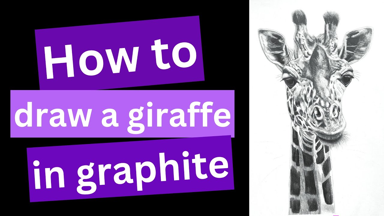 How to draw a giraffe in graphite | Time Lapse - YouTube