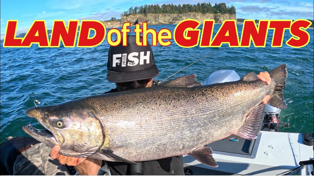 We tried to find the Biggest King Salmon in Washington St - YouTube