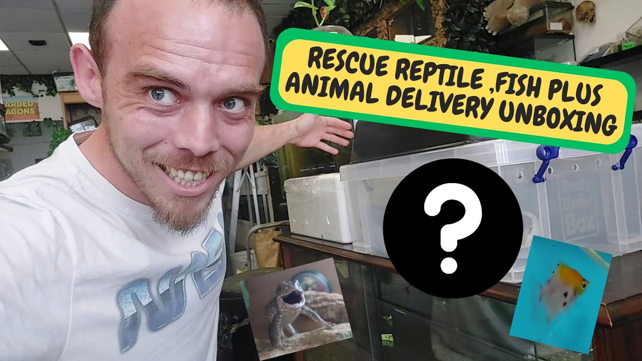 Another Reptile Rescue And A Fish Rescue Plus Animal Delivery Unboxing ...