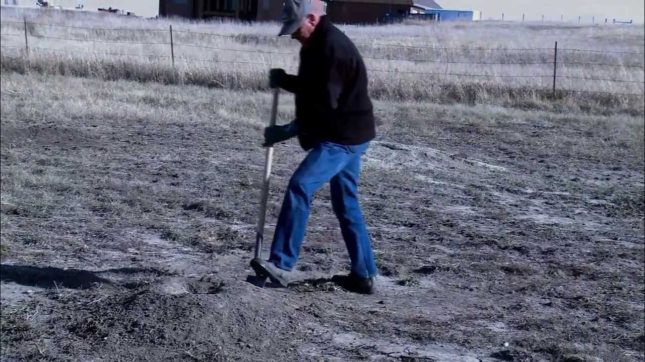 How to Survey for Prairie Dogs Using the Line Transect Method - YouTube