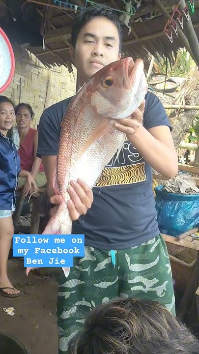 ANG LAKI NG NAHULI NAMIN #fishing #seacreatures #fish #buhaymangingisda #buhayprobinsya - YouTube