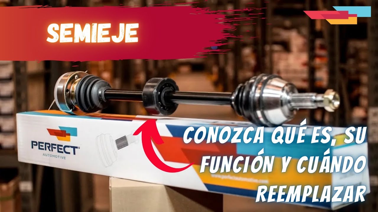 SEMIEJE | CONOZCA QUÉ ES, SU FUNCIÓN, CUÁNDO REEMPLAZAR Y CONSEJOS PARA ...