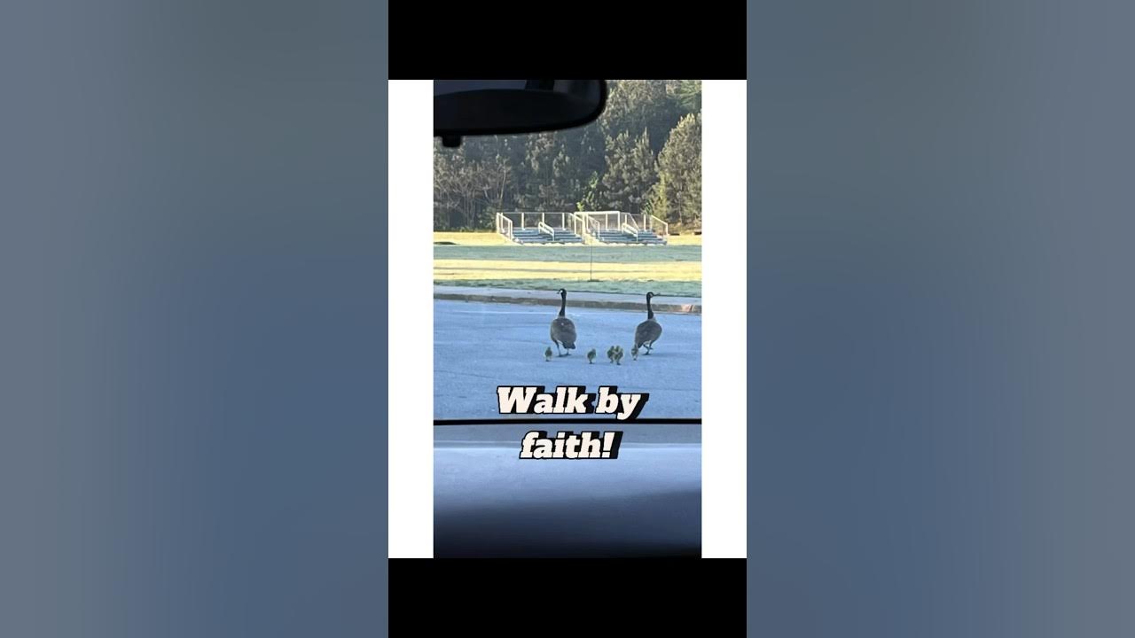 Walk by Faith!! ☀️#god #nevergiveup #havefaithingod - YouTube