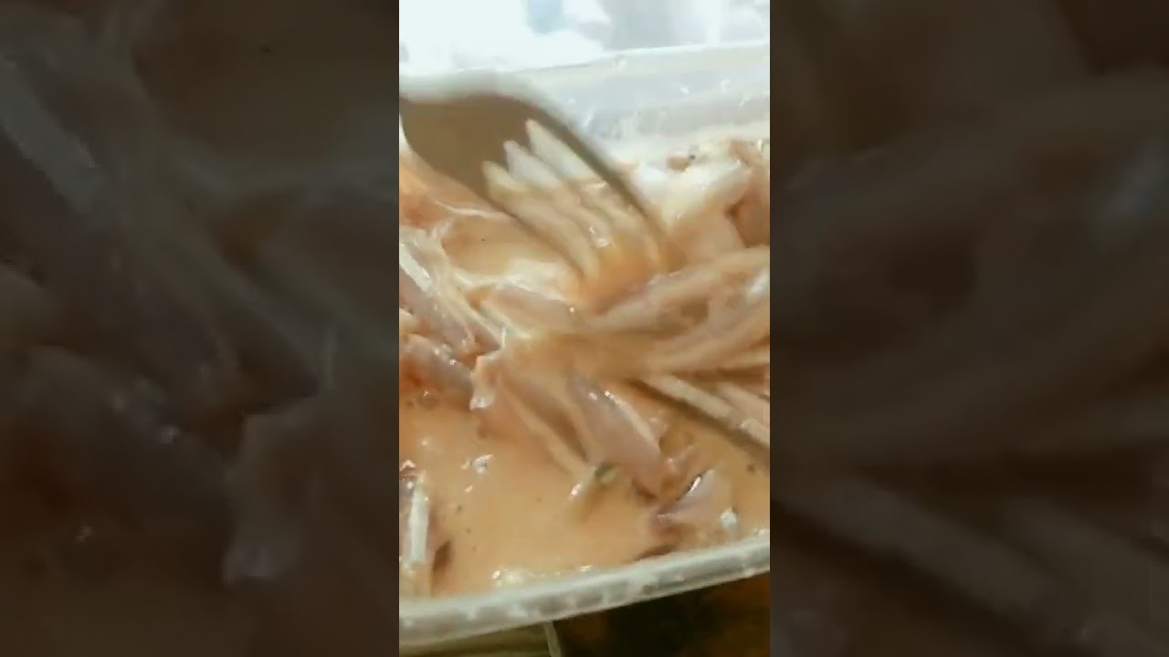 Anchovies with egg | Bolinao |Torta - YouTube