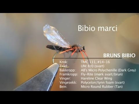 Bruns Bibio - a rubber legged pattern ( fly tying / fluebinding ) - YouTube