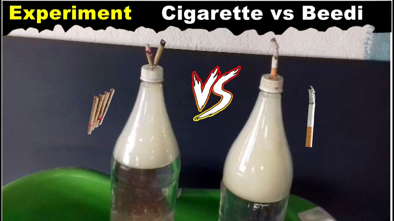 Experiment Cigarette vs Beedi Which one is More Dangerous #themhindia ...