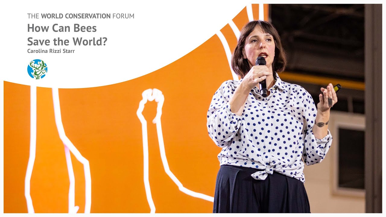 WCF 2021 - How Can Bees Save the World? - Carolina Rizzi Starr - YouTube