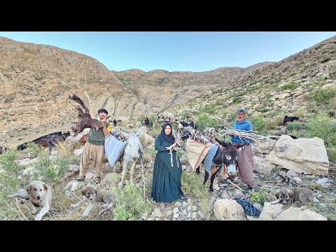 RealNomadic Life in Iran's ZagrosMountains|TraditionalFirewood Collectionon Dangerous MountainTrails