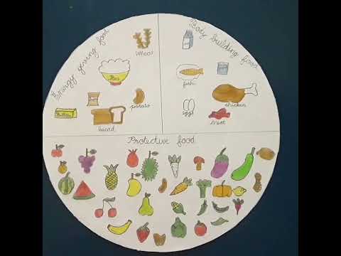 3 Types of food plate | Energy giving food | Body building food ...