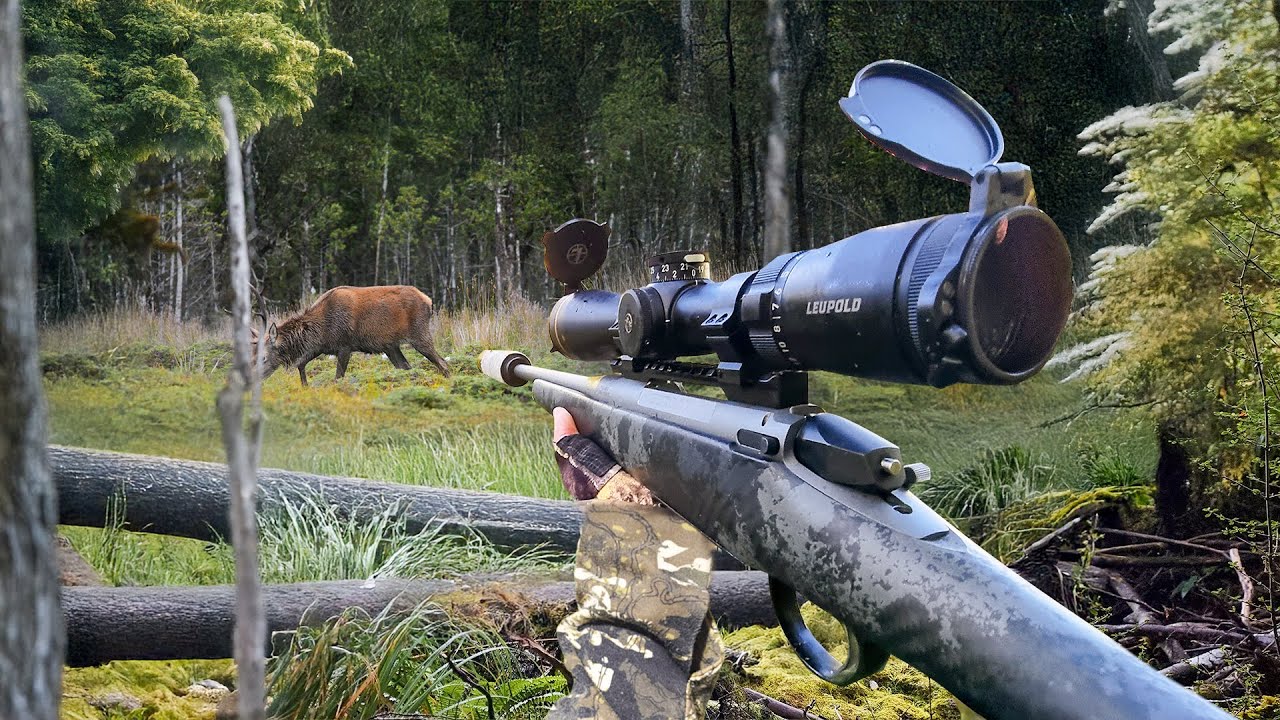 Ambush Hunting Deer in the Wilderness (Solo 8 Day Hunt) - YouTube