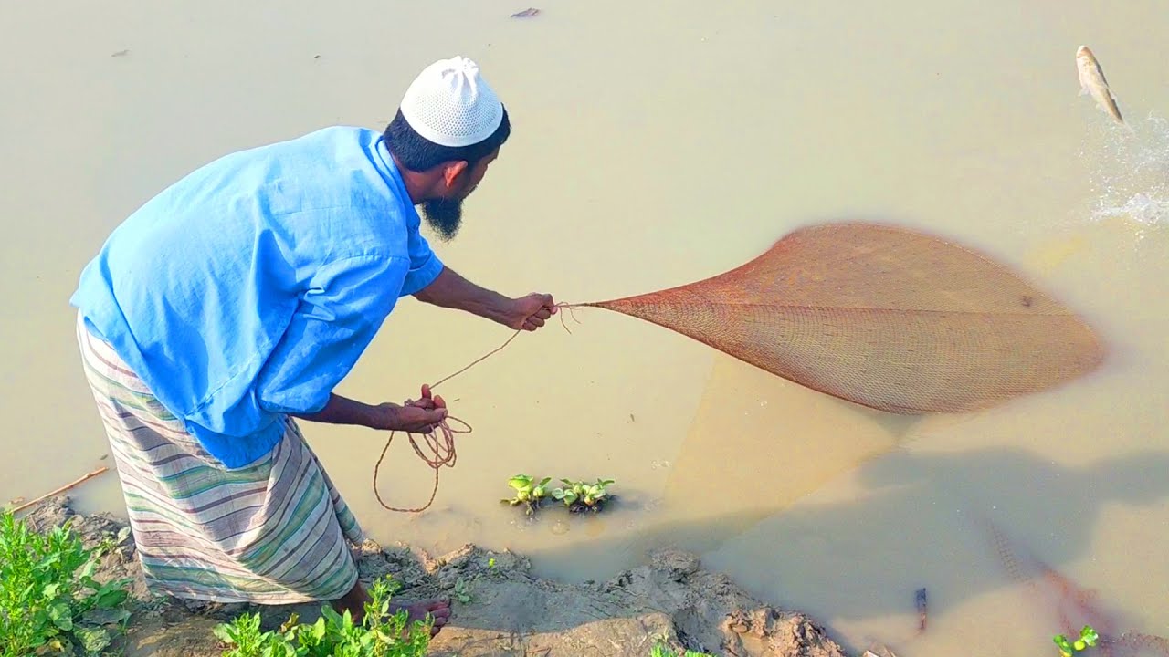 Cast net fishing - Traditional cast net fishing in village with ...