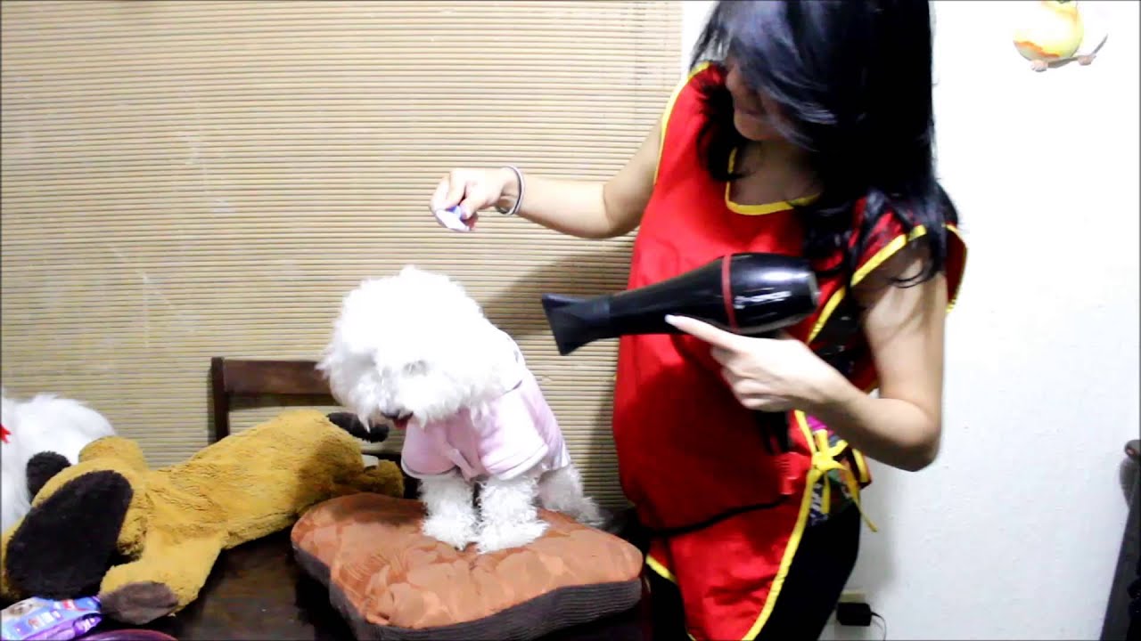 Spot kiaras salon. Clase Publicidad. Lic. Sandra Lucio, UTH. - YouTube