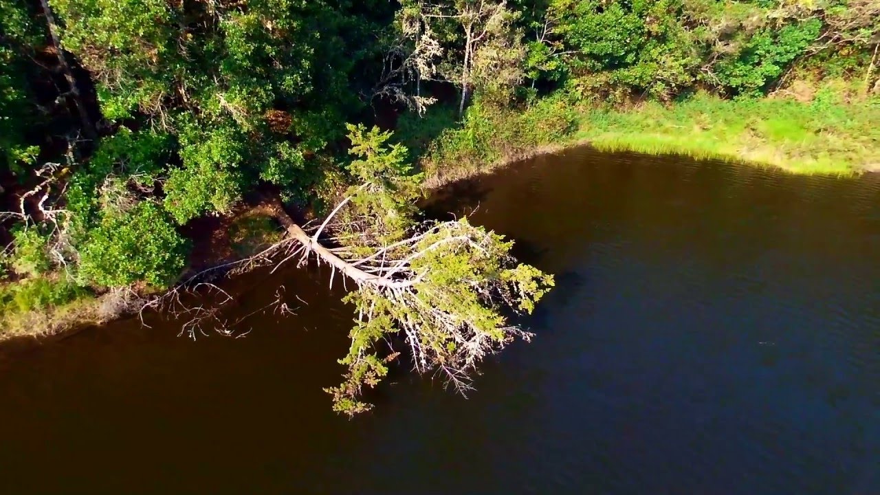 Lago Don Manuel - YouTube