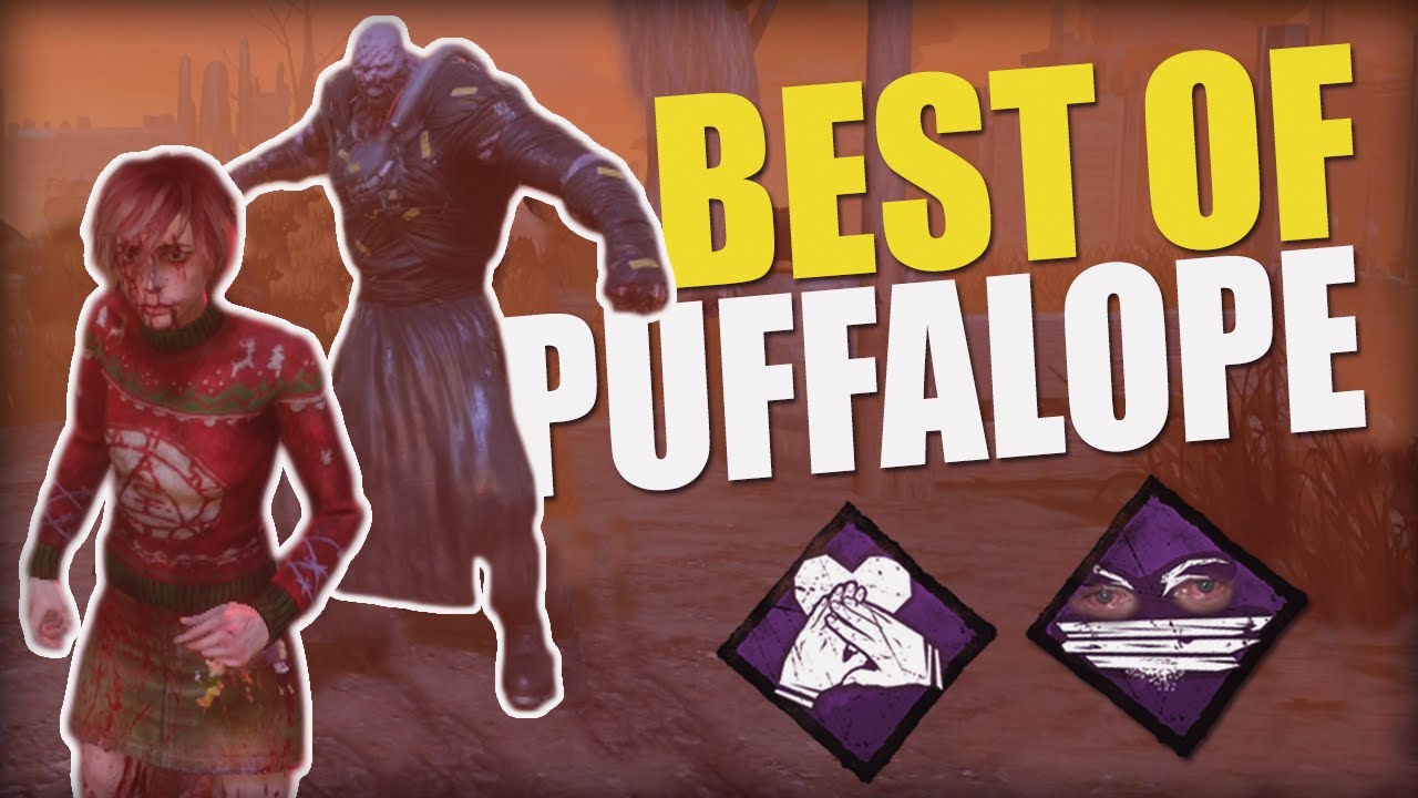 BEST OF PUFFALOPE - YouTube