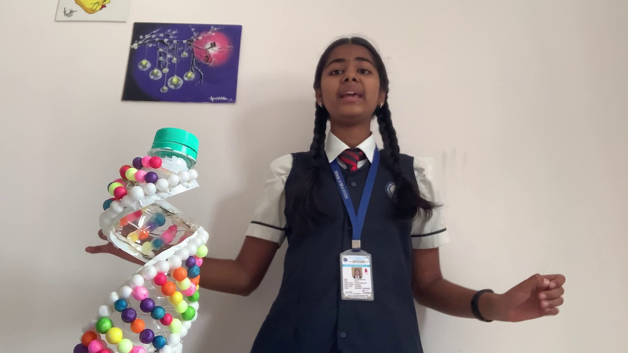 Explanation of Human DNA model - YouTube