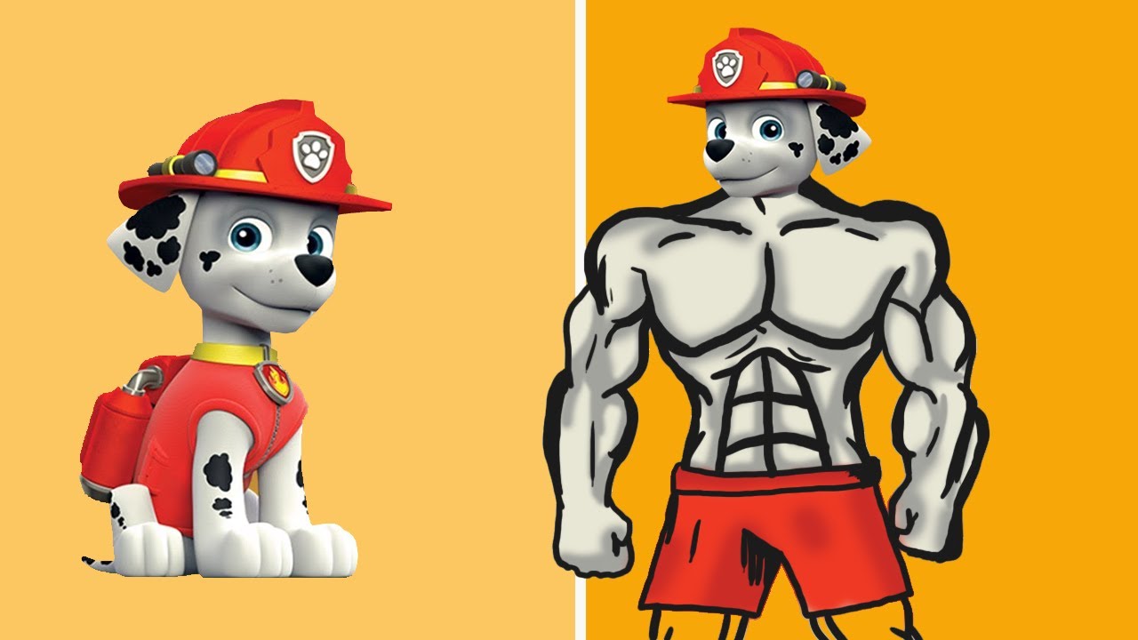 Paw Patrol MARSHALL As BODYBUILDERS || Speed Drawing Art😎😎😎 - YouTube