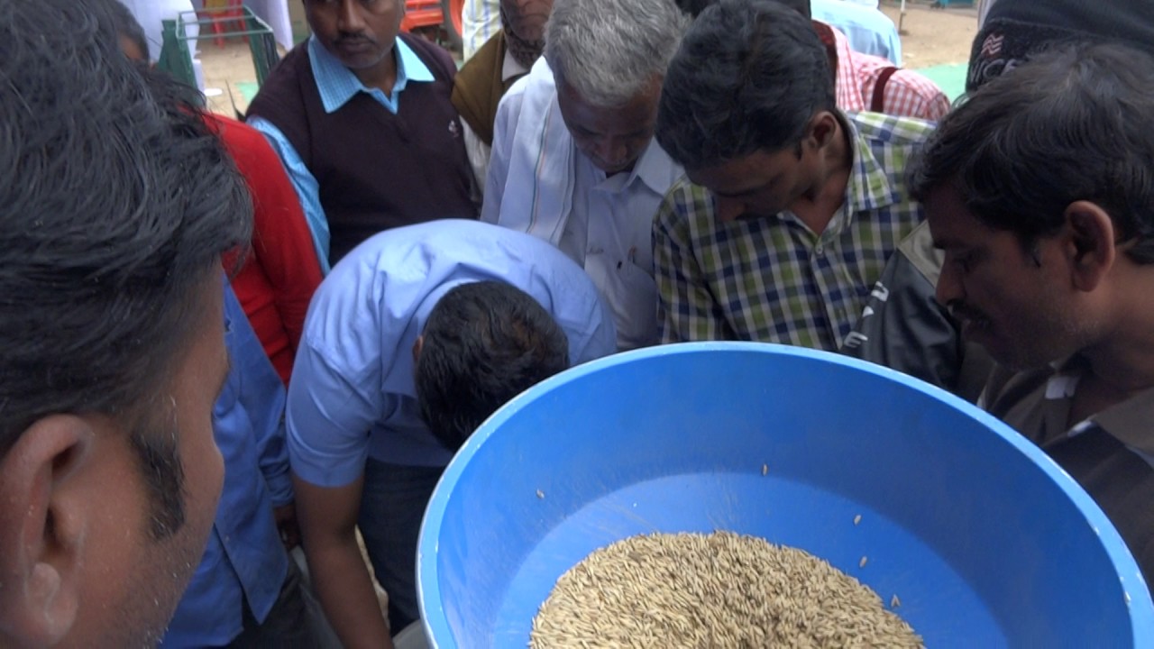 Annapurna rice mill - YouTube