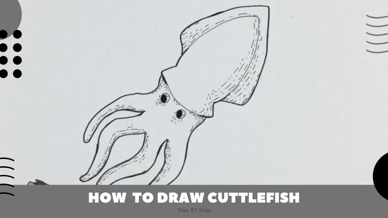 How to Draw Cuttlefish Easy - YouTube