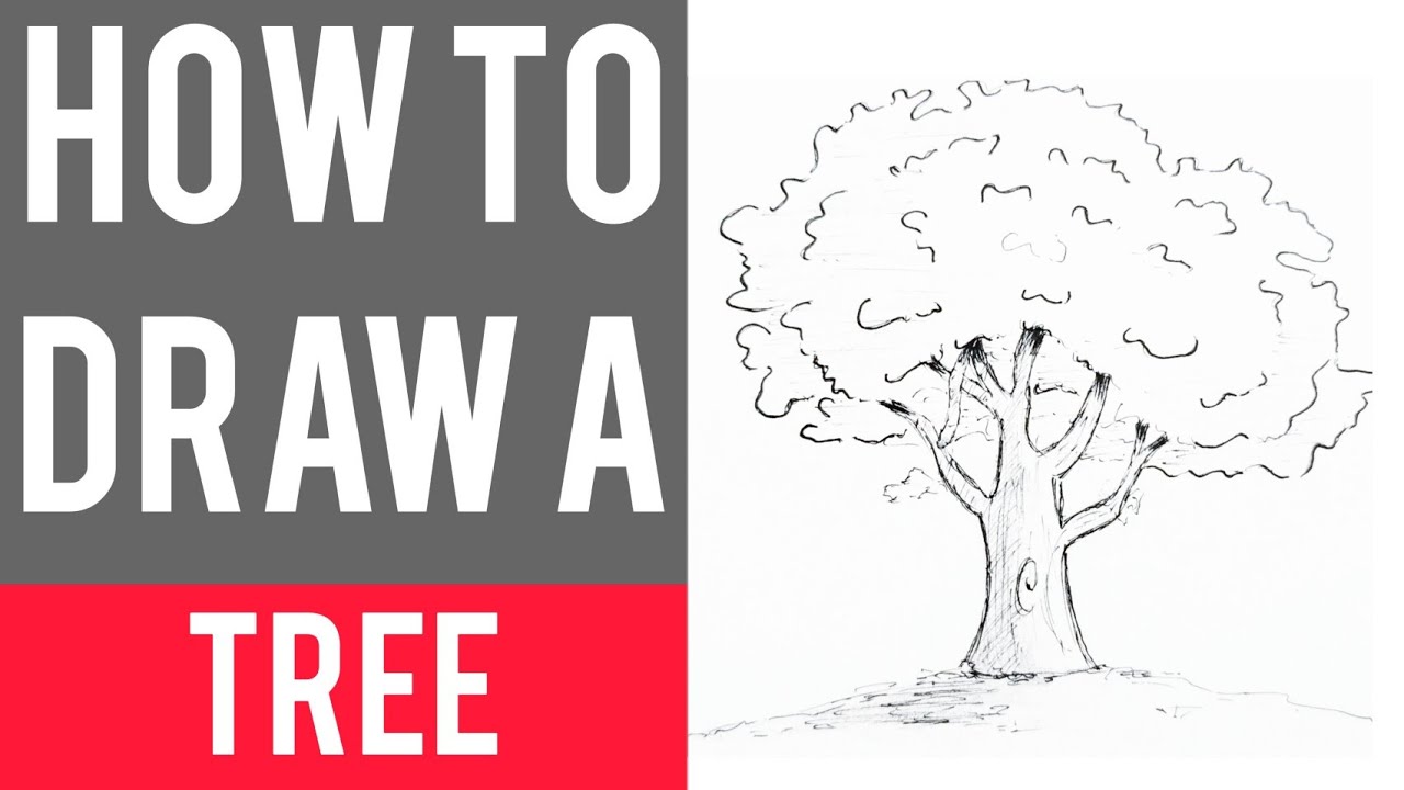 How to Draw a Realistic Tree #TreeDrawing #RealisticDrawing # ...