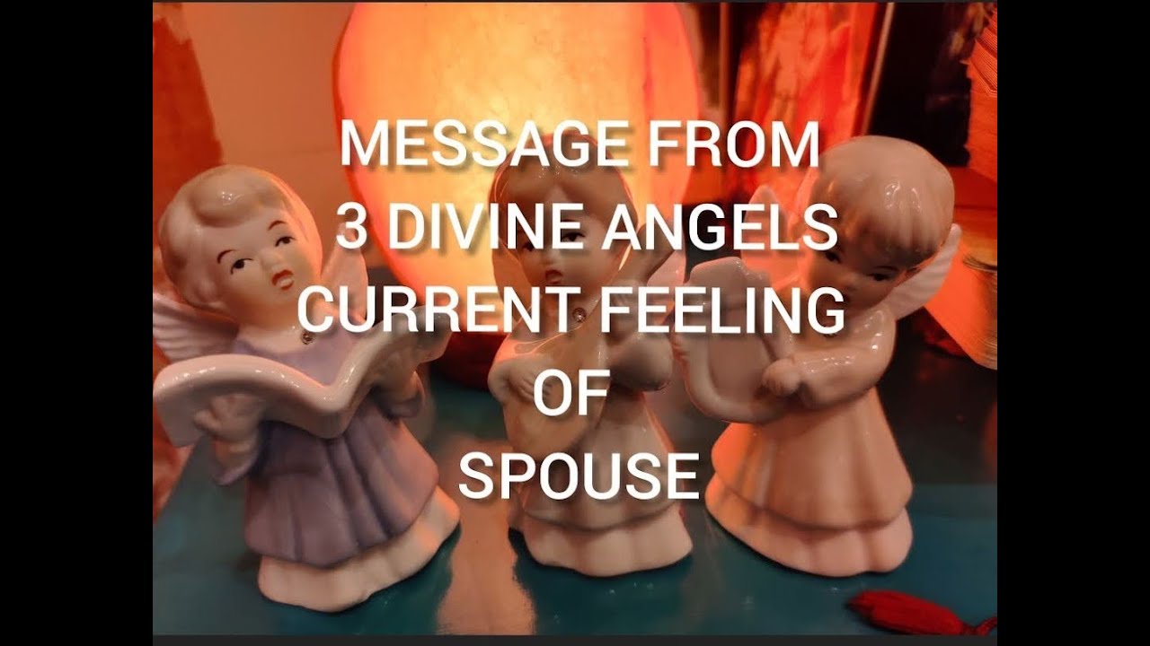 Current feeling of your spouse, message from divine 3 Angels - YouTube