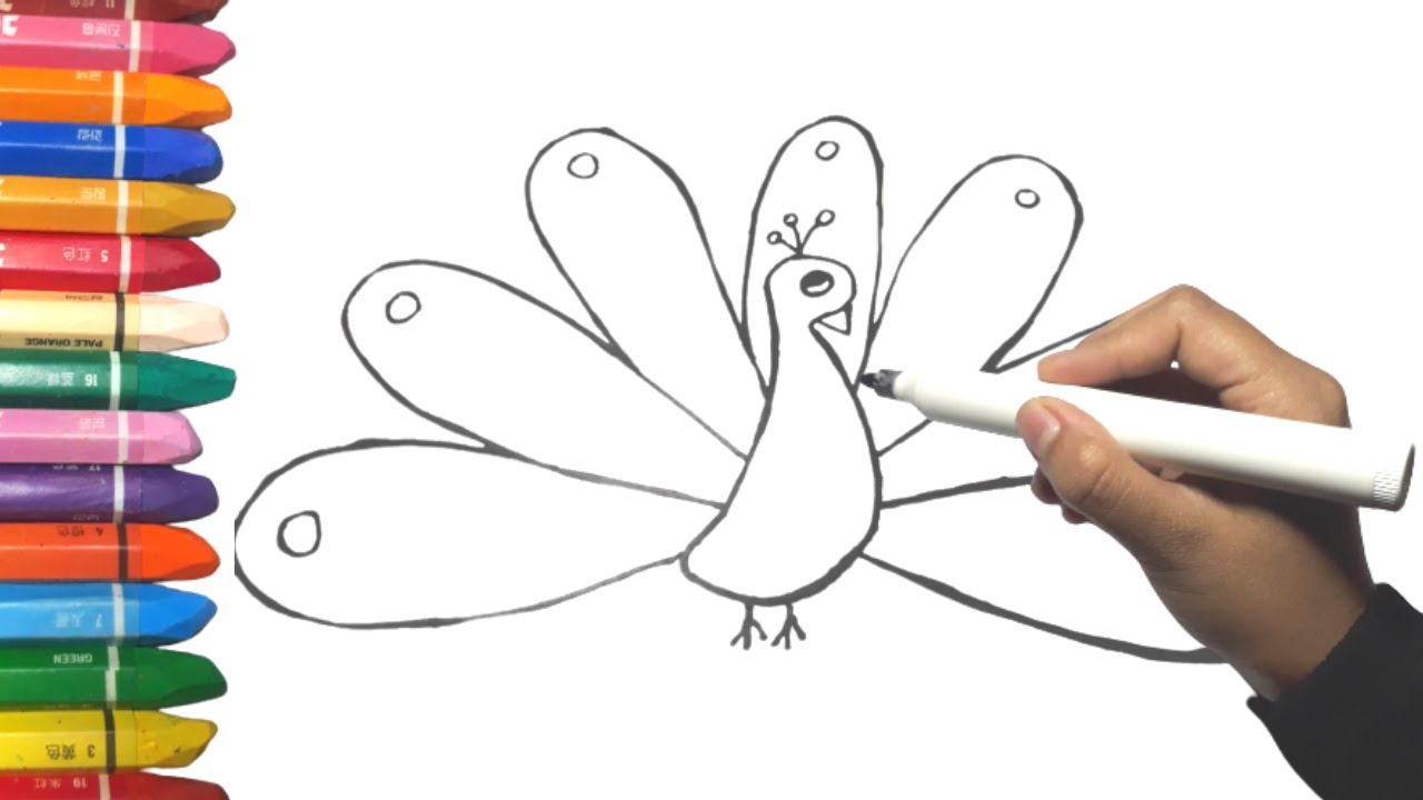 #tutorial Part 95 | Belajar menggambar burung merak | How to draw a ...