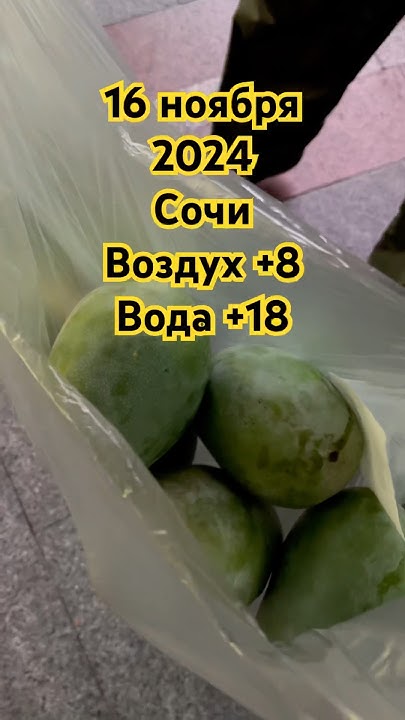 Сколько стоит МАНГО 🥭 в Сочи? #сочионлайн #сочи #сочисейчас - YouTube