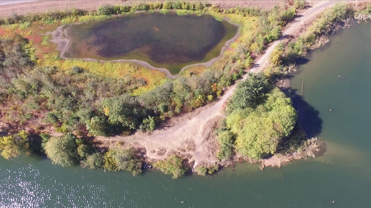 Swan Trails Farm - YouTube