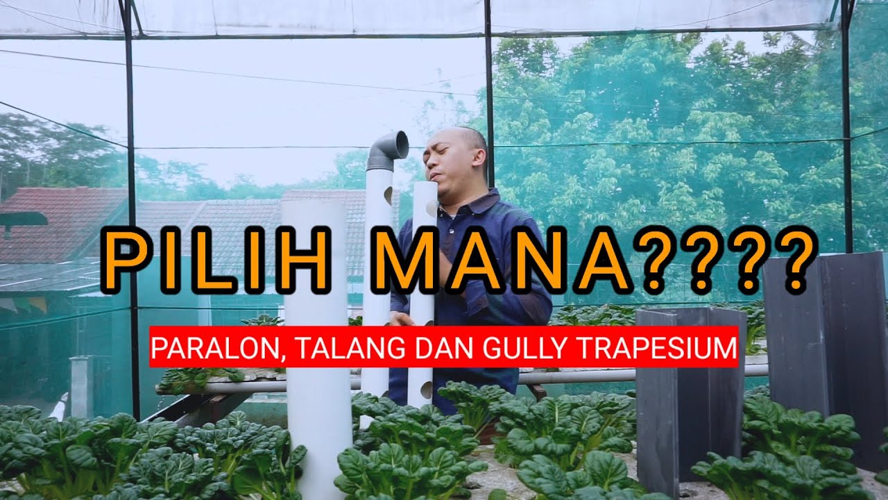 Pilih mana?? Paralon, Talang, dan Gully trapesium.. #hidroponik # ...