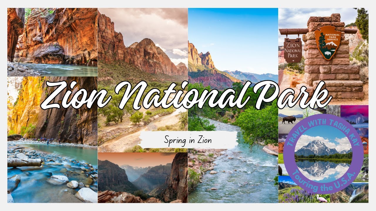 Springtime Splendor: Zion National Park in Spring - YouTube