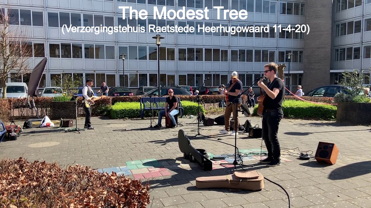 The Modest Tree (corona optreden 11 april 2020 , Raetstede ...