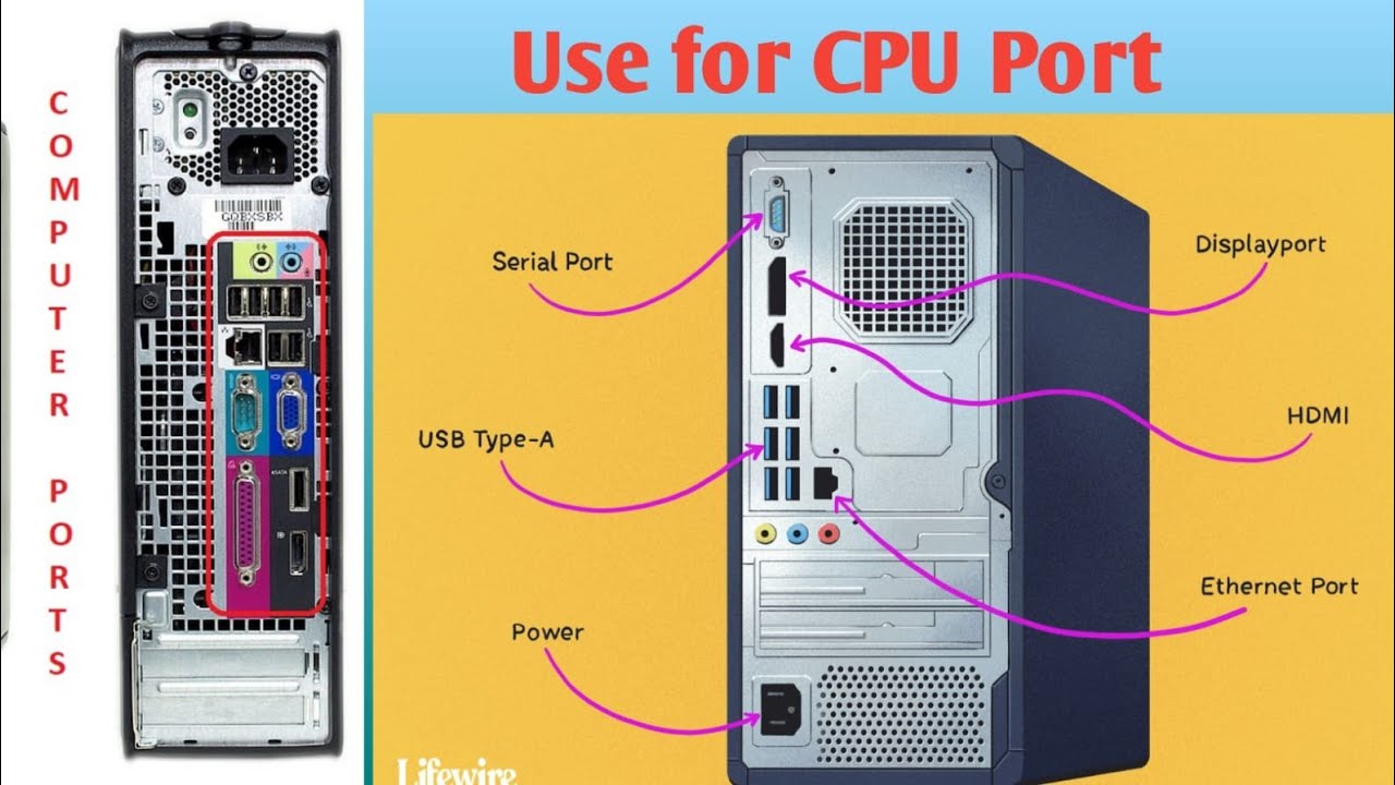 Cpu Port Connection Details Youtube